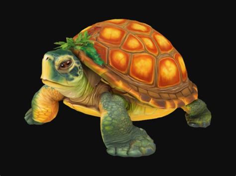 Card Title Island Turtle Subtitle Lazy Archipelago Type Land