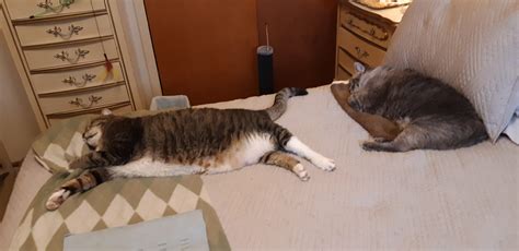 Writing Passionate Characters Linda S Clare