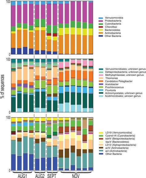 Taxonomic Binning Of 16s Amplicon Sequences For Each Of The 14 Download Scientific Diagram