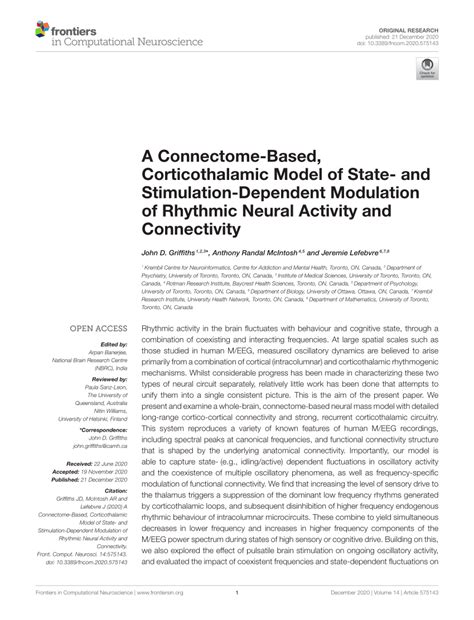 Pdf A Connectome Based Corticothalamic Model Of State And