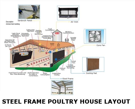 Poultry House Design Layout Steel Structure Wall Roof Panels Doors