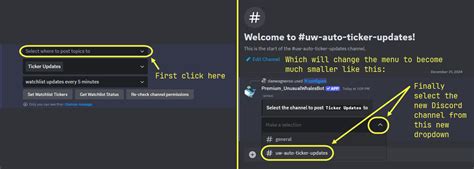 How To Configure Ticker Updates With The Premium Discord Bot