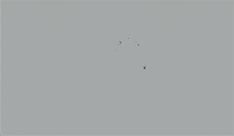 パーティクルid Mcwithcode