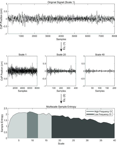 Multiscale Sample Entropy Analysis Performed On One Representative Cop