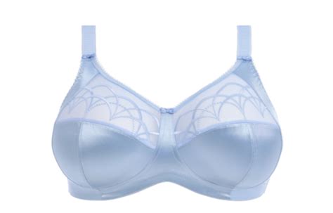 Ladies Wireless Soft Cup Plus Size Bra Embroidery Full Coverage Non