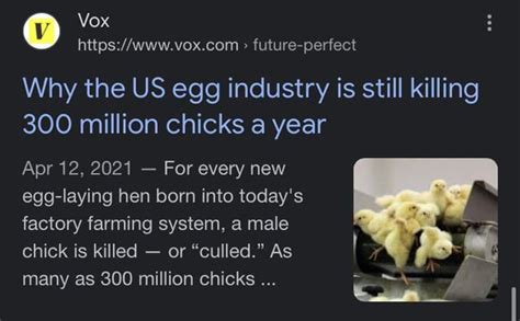 The Brutal Massacring Of Male Chicks And What You Can Do About It