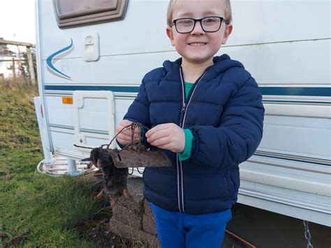 S J Mole Control Newport