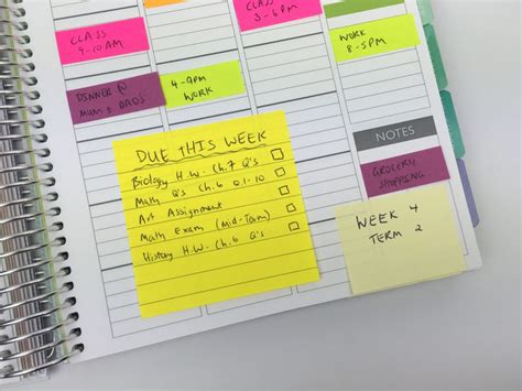 Organized School Notes