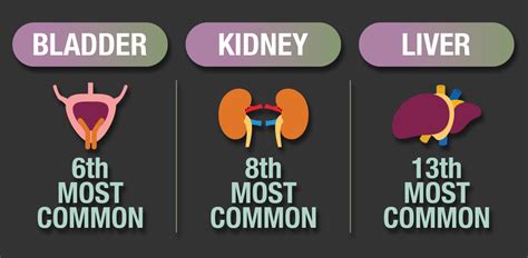 Organ Specific Cancer Facts And Symptoms Uhc Oncology