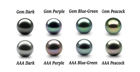 Commercial Tahitian Pearl Grading Guide Quick Grading System