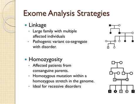 Ppt Exome Sequencing As Molecular Diagnostic Tool Of Mendelian Diseases Powerpoint