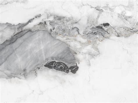 Delphinus Printed Quartz