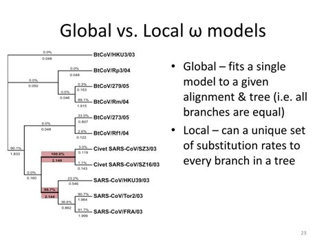 Ppt Molecular Evolution With An Emphasis On Substitution Rates Powerpoint Presentation Id