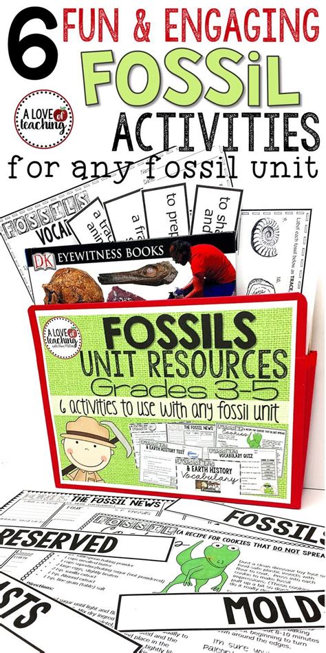 Types Of Fossils Worksheets Activities Reading Passages Rd Th Th Grade Teachers Pay