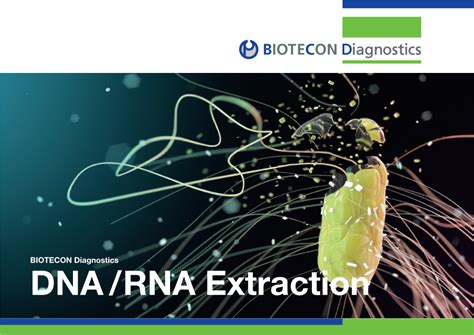 DNA RNA Extraction DNA RNA Extraction Key To Successful Analysis DocsLib