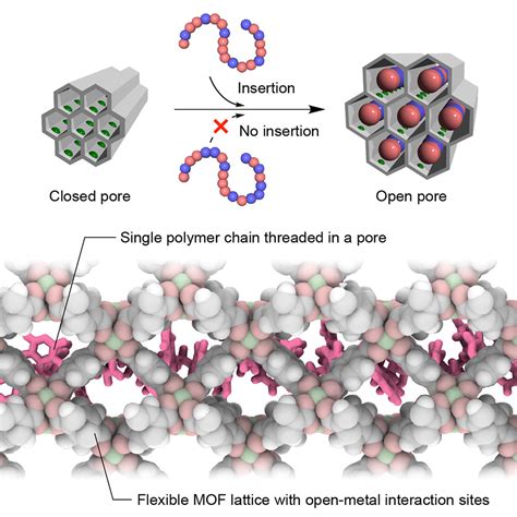 Decoding Polymer Chains Via Gated Inclusion Into Flexible Nanoporous Crystals Chem
