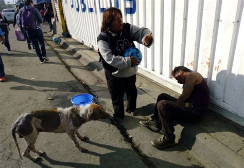 Pelean Alcohólicos En La Central De Abastos De Oaxaca El Imparcial De