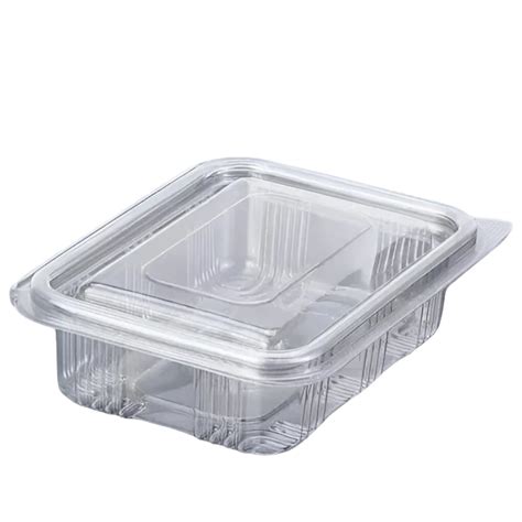 100ml Plastic Rectangle Hinged Box At ₹ 1piece Hinged Box In Kolkata