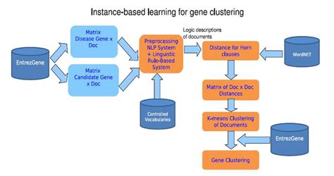 Instance Based Learning For Gene Clustering On First Order Descriptions Download Scientific