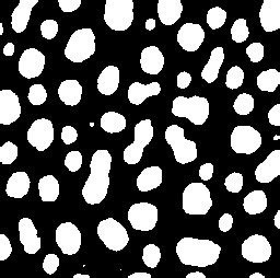 Binary Images Analyzing Fluorescence Microscopy Images With Imagej