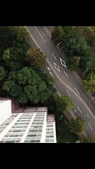 옥상에서 드론을 떨어뜨리면… 샘튜브 참리더 몽당분필 드론촬영 Youtube