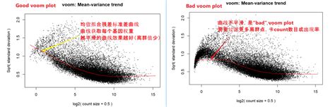 数据分析：转录组差异分析总结（deseq2 Limma Edger T Test Wilcox Test） Csdn博客