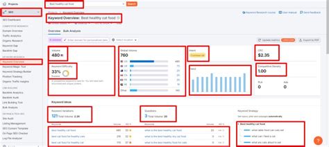 Wp Dev Squad On Linkedin Devamir74 Seo Seoexpert Seoservices Seotips Wordpress Webdesign