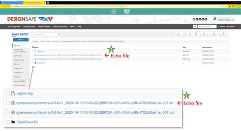 Opensees Designsafe User Guide