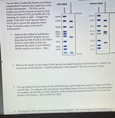 Solved Why Would Ni Nta Affinity Chromatography Be A Poor