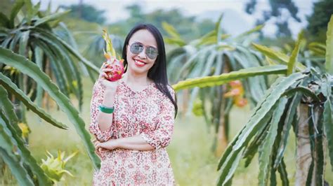 How To Grow Dragon Fruit Indoors Easy Complete Guide