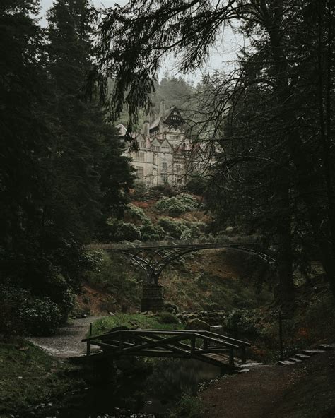 회색 콘크리트 건물 근처의 푸른 나무 사진 Unsplash의 무료 소니 이미지