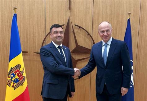 Adrian Efros A Discutat Cu Secretarul General Adjunct Al Nato Mircea