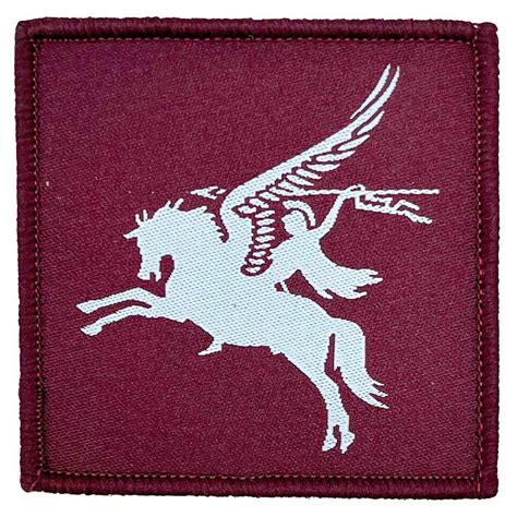 16 Air Assault Brigade Hook And Loop Backing Trf John Bulls