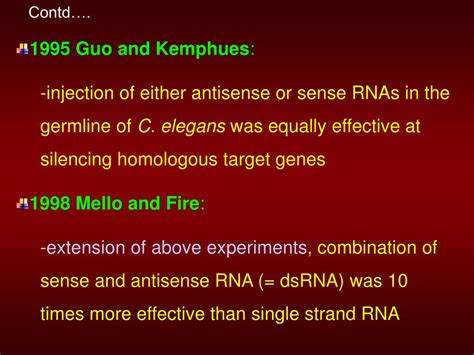 Ppt Post Transcriptional Gene Silencing Powerpoint Presentation Free