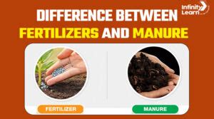 Difference Between Manure And Fertilizers Explained In Detail