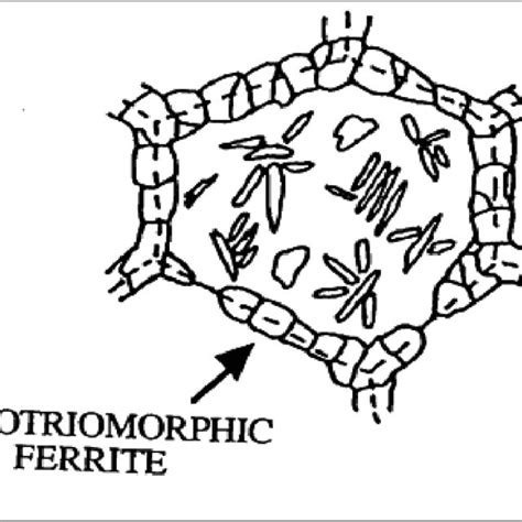 7 Schematic Diagram Of Acicular Ferrite And Bainite [22] Download
