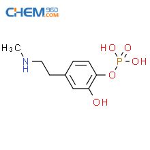 Cas No Benzenediol Methylamino Ethyl Dihydrogen Phosphate