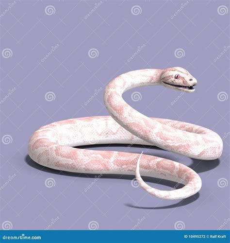 White Ball Python Stock Illustration Illustration Of Hazardous