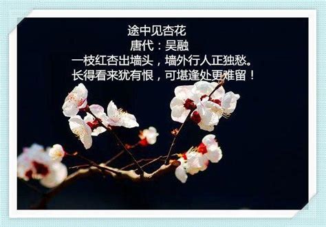 一首詩詞，一支春花綻放 每日頭條
