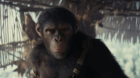 Il Regno Del Pianeta Delle Scimmie La Recensione Del Nuovo Film