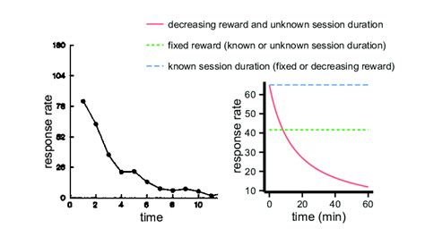 The Pattern Of Within Session Response Rates Responses Per Minute Download Scientific