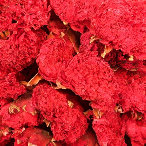 گیاه دارویی، گلنارفارسی، خواص گلنار فارسی تیارمزه