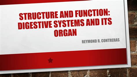 SOLUTION Lesson Structure And Function Digestive System And Its Organ Studypool