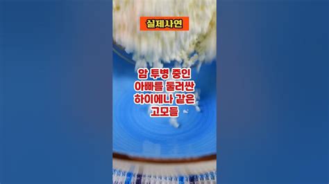 암 투병 중인 아빠를 둘러싼 하이에나 같은 고모들 Youtube