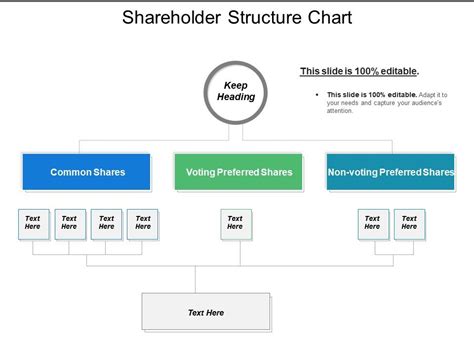 Shareholder Structure Chart Powerpoint Templates Backgrounds Template Ppt Graphics
