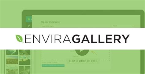 Envira Gallery CSS Addon CreativeSea