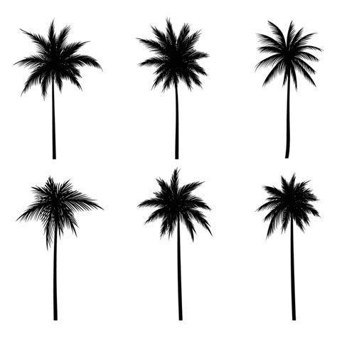 Palm Tree Coconut Silhouette Set Collection 39590483 Vector Art At Vecteezy