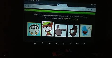 Rng Captcha At Its Finest Album On Imgur