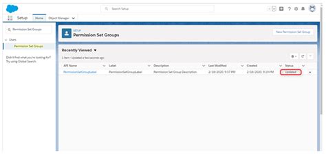 Permission Set Groups MST Solutions