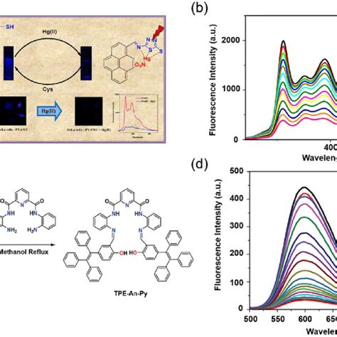 The Synthesis Of Turn On Fluorescent Probes And Their Fluorescence